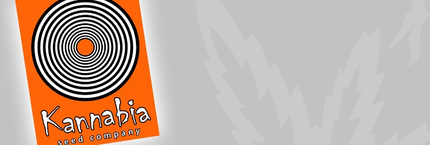 Kannabia Seeds Catálogo De Semillas De Marihuana Online