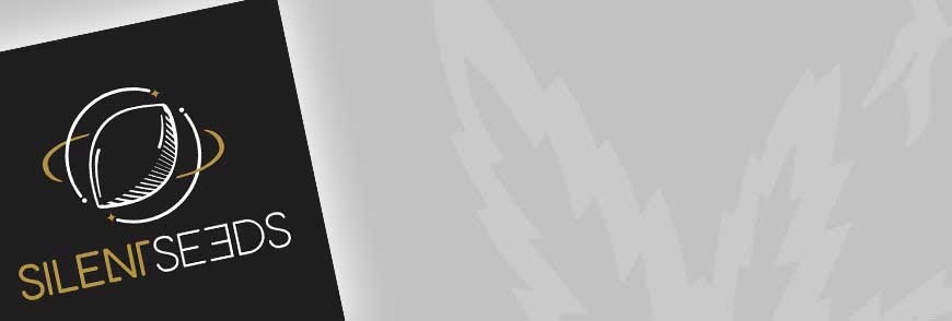 Silent Seeds | Banco de Semillas de Marihuana